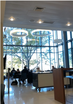 (Some of) The Amazing Places to Study on Campus – Kilachand Ambassadors ...