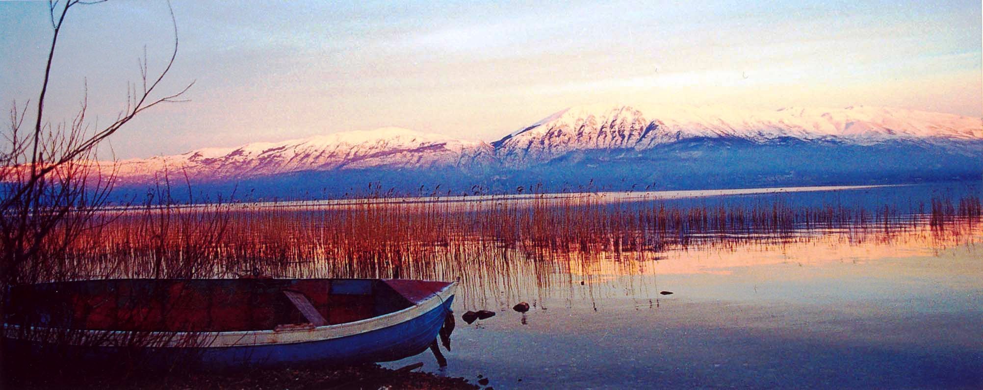 Ani Gjika: Albania | The BU Creative Writing Global Fellowships